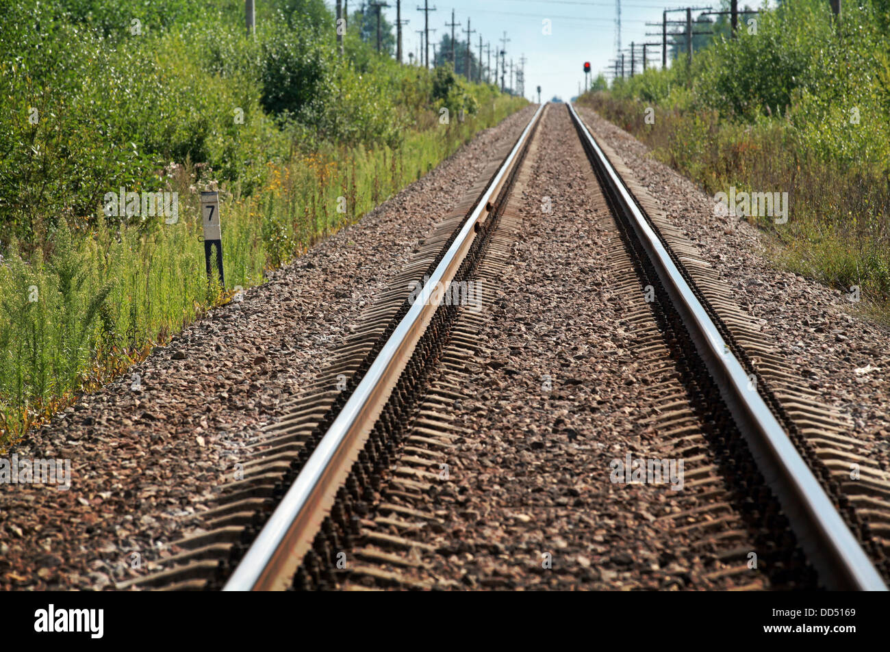 Straight modern railway perspective with gravel, poles, green grass and ...