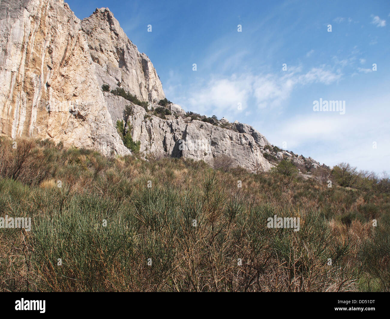 trees, sky and rock Stock Photo - Alamy