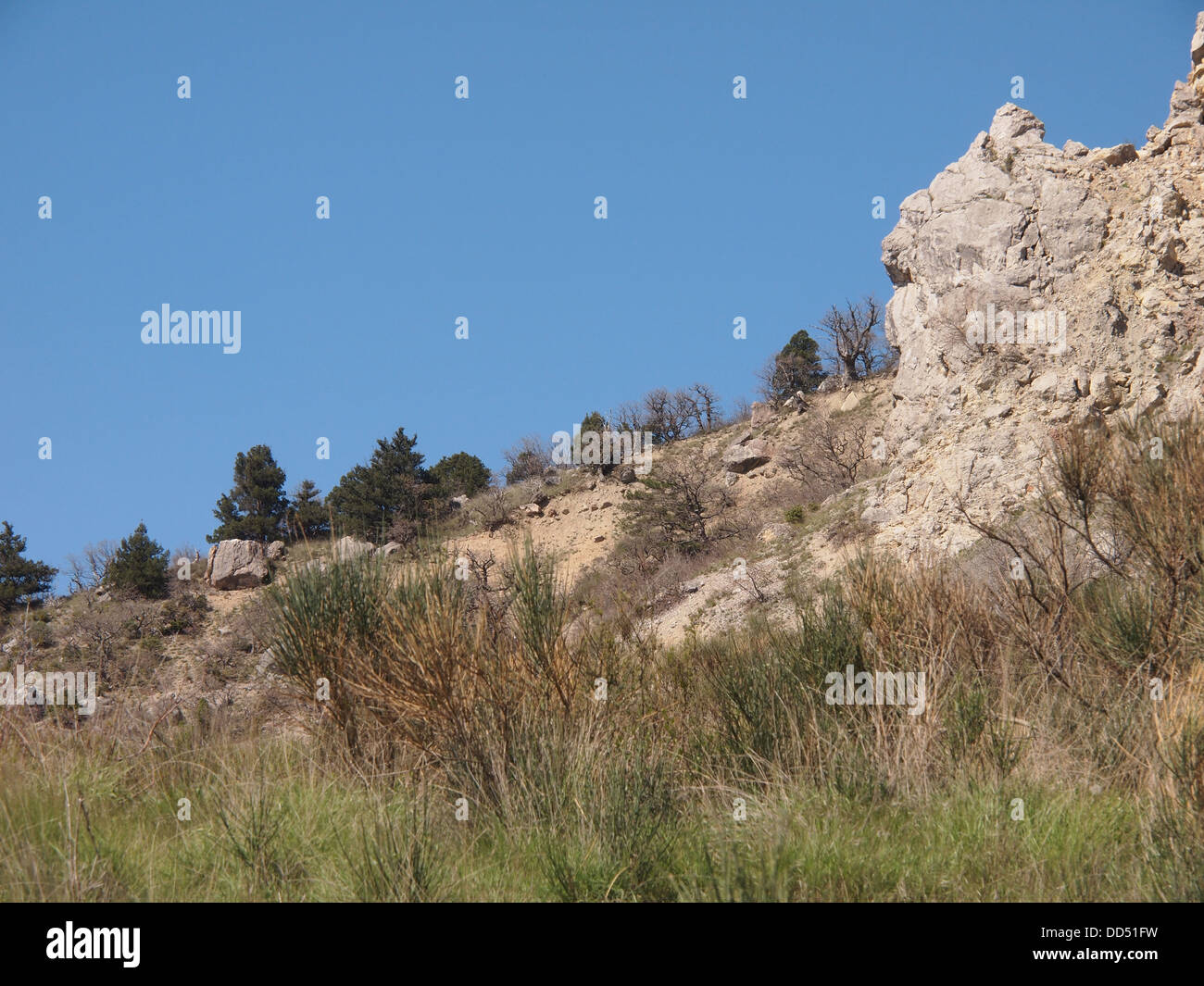 trees, sky and rock Stock Photo - Alamy