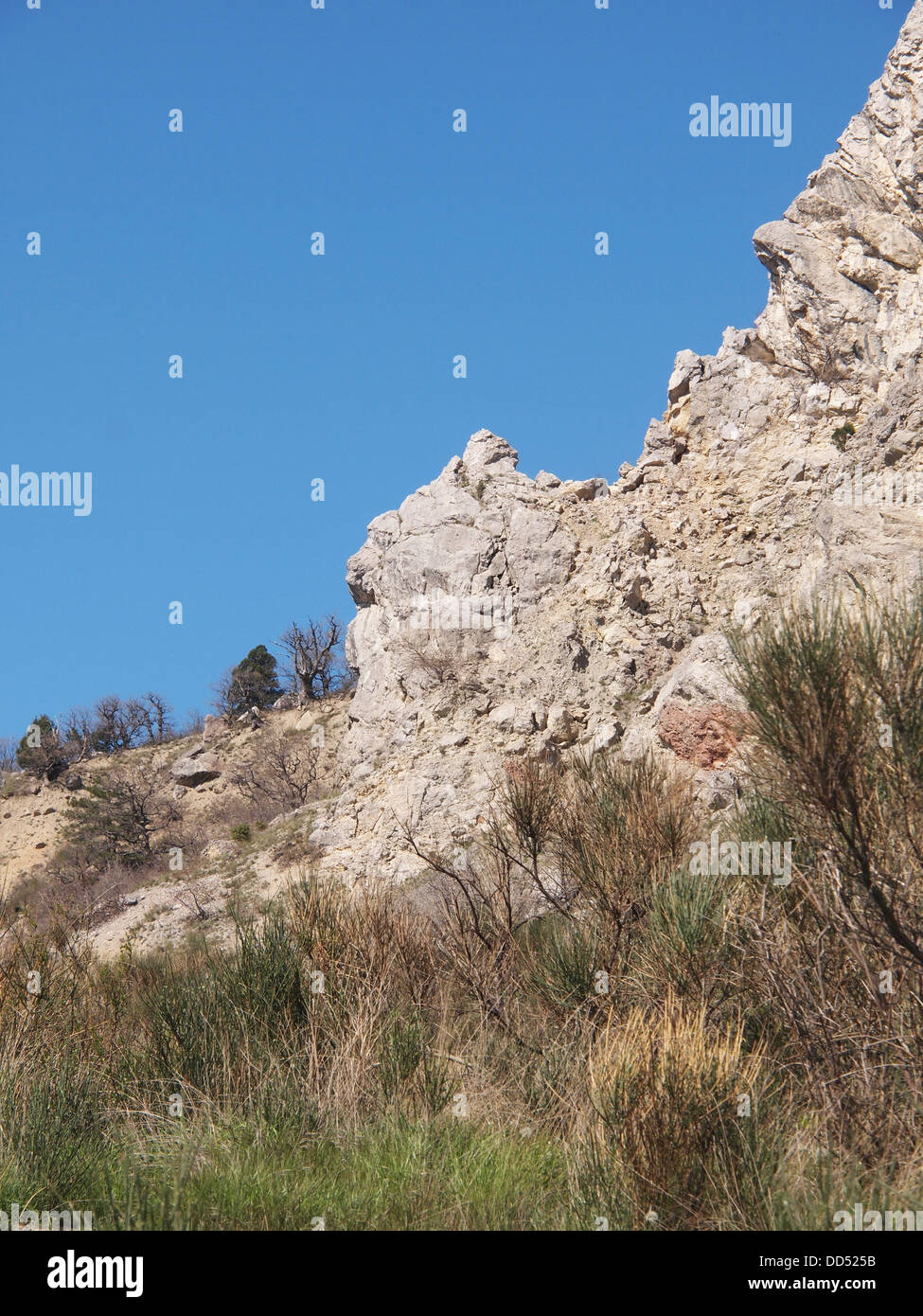 trees, sky and rock Stock Photo - Alamy
