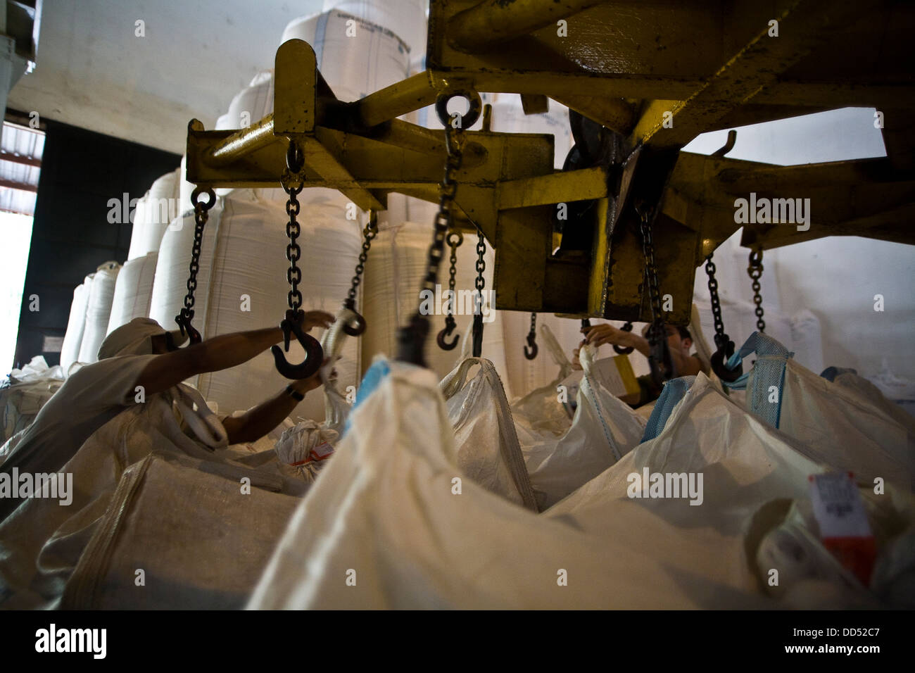 Sao Francisco ethanol and sugar plant. Sugar production process. Sugar ...