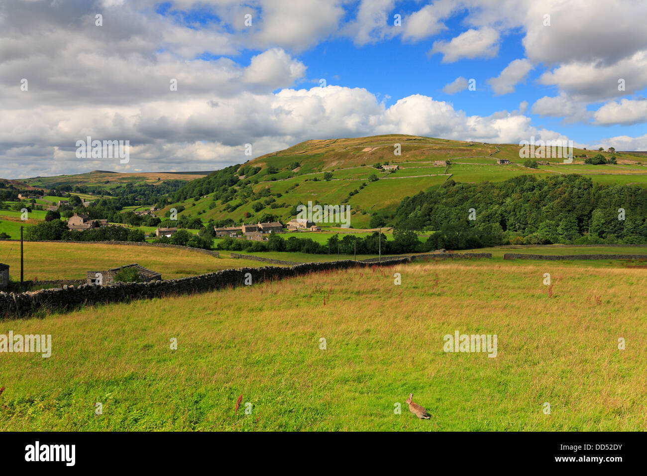 Town park walking hi-res stock photography and images - Alamy