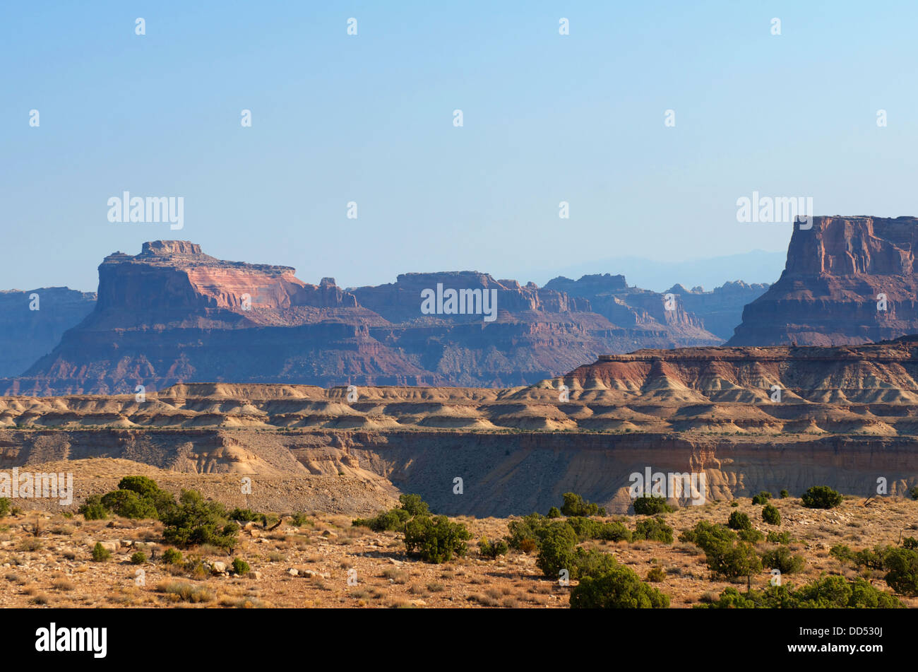 Spotted Wolf, Utah I-70 Stock Photo - Alamy