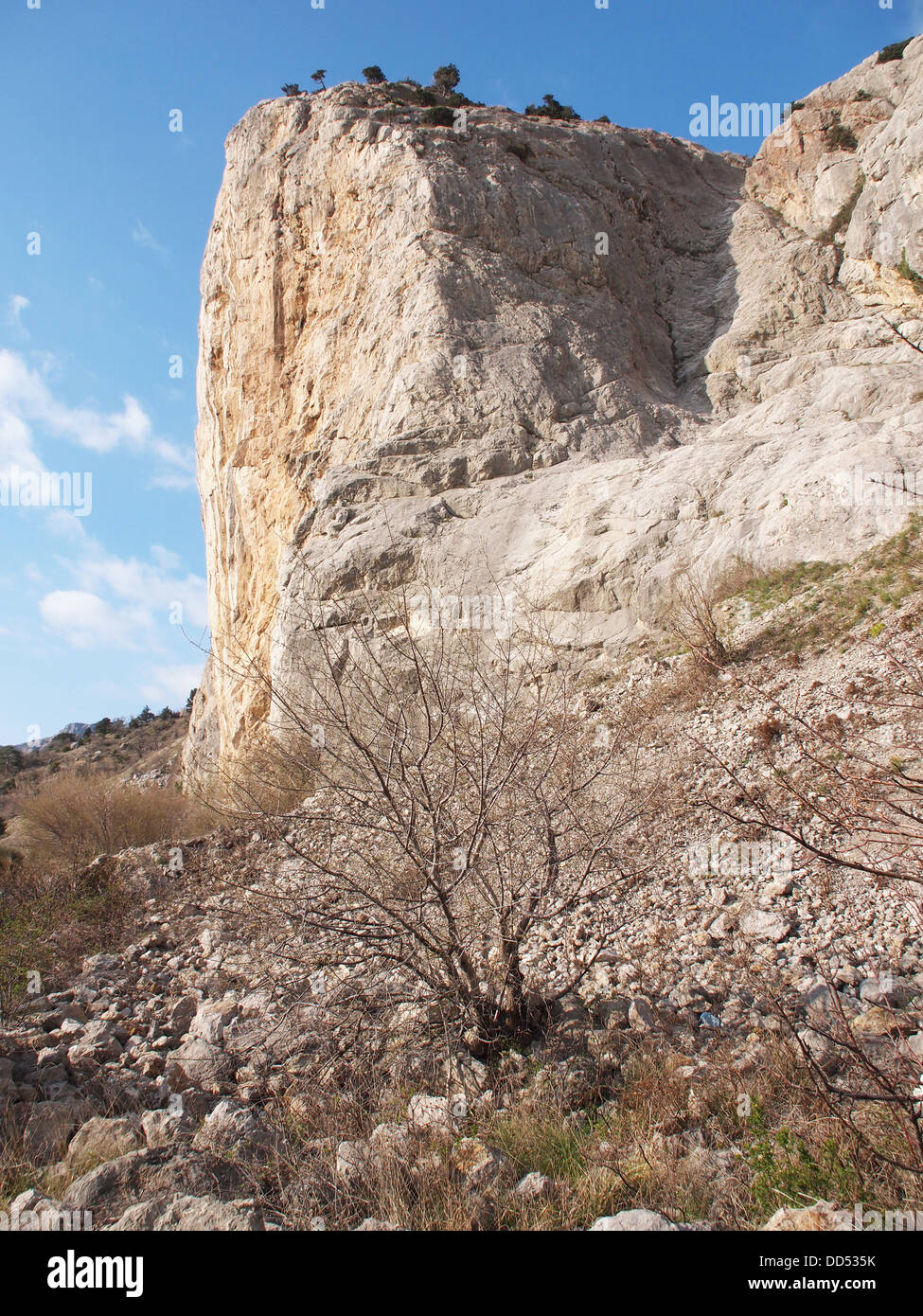 trees, sky and rock Stock Photo - Alamy