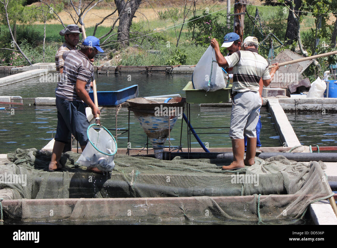 Fish farm hi-res stock photography and images - Alamy
