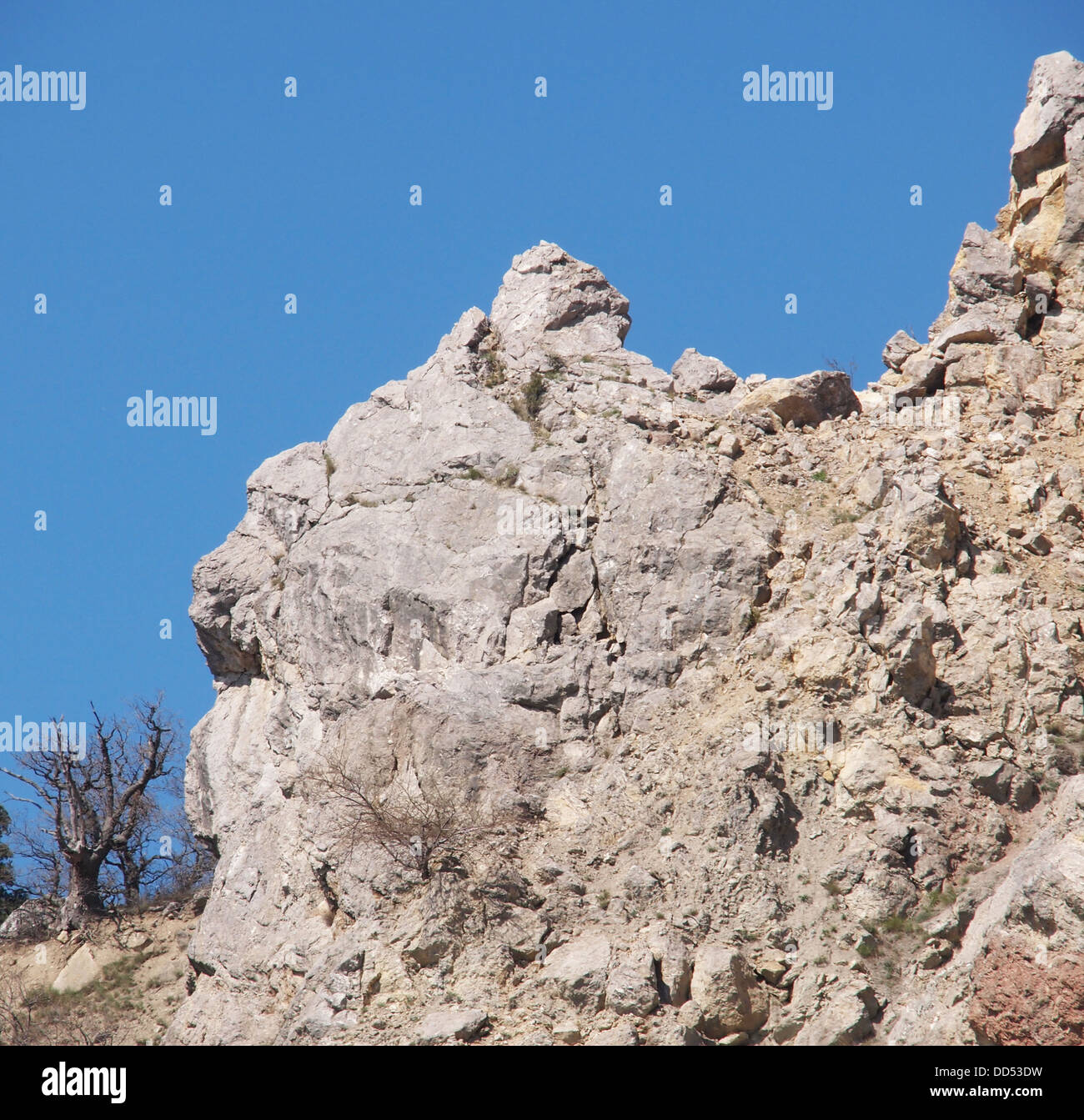 trees, sky and rock Stock Photo - Alamy