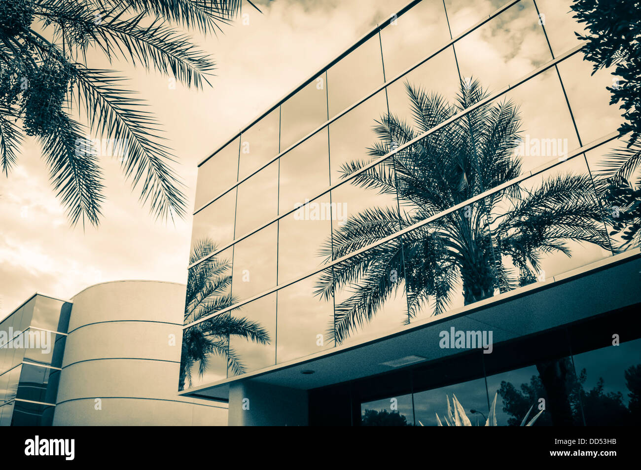 Modern glass office building in warm sunny climate - success Stock ...