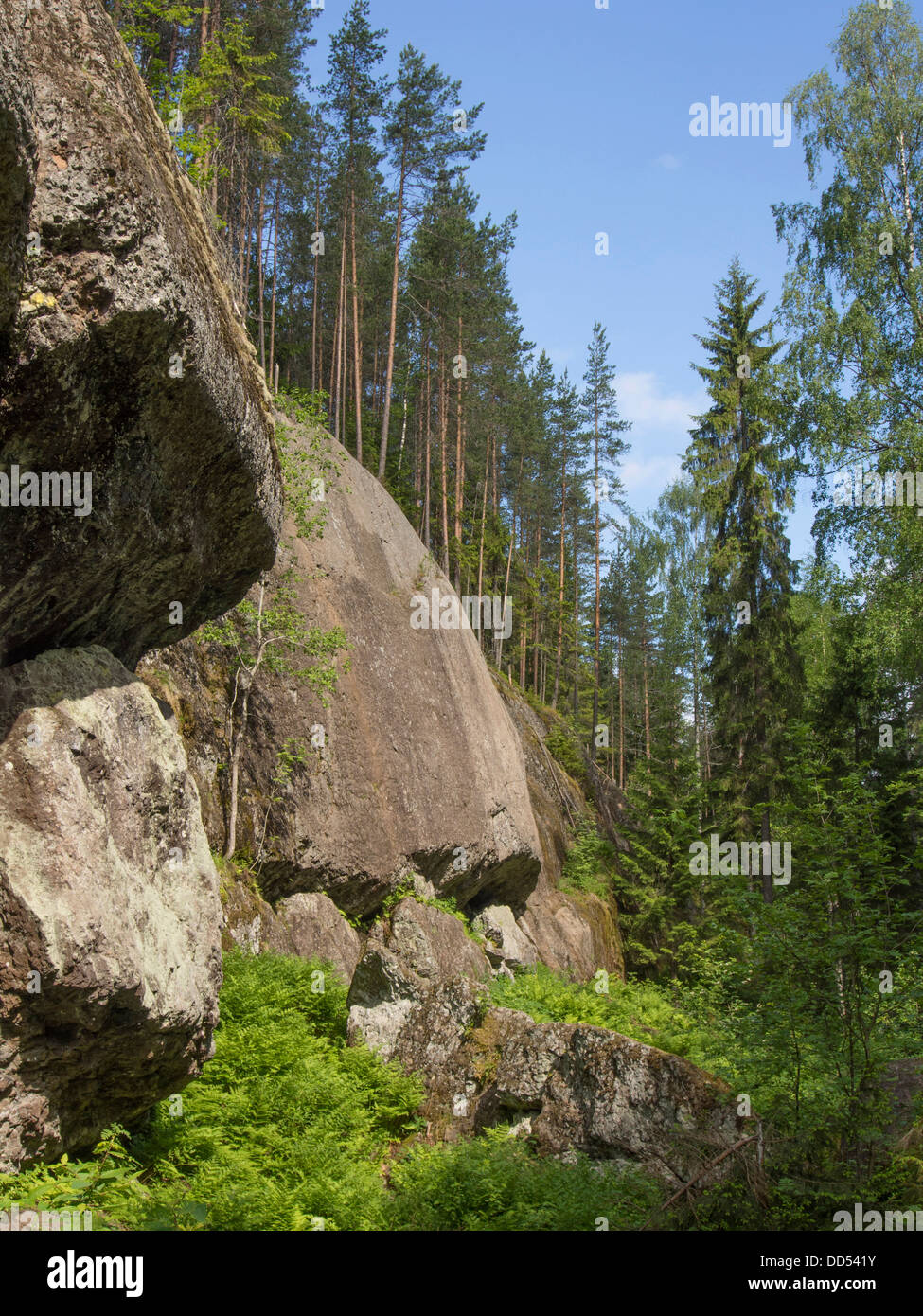 trees, sky and rock Stock Photo - Alamy