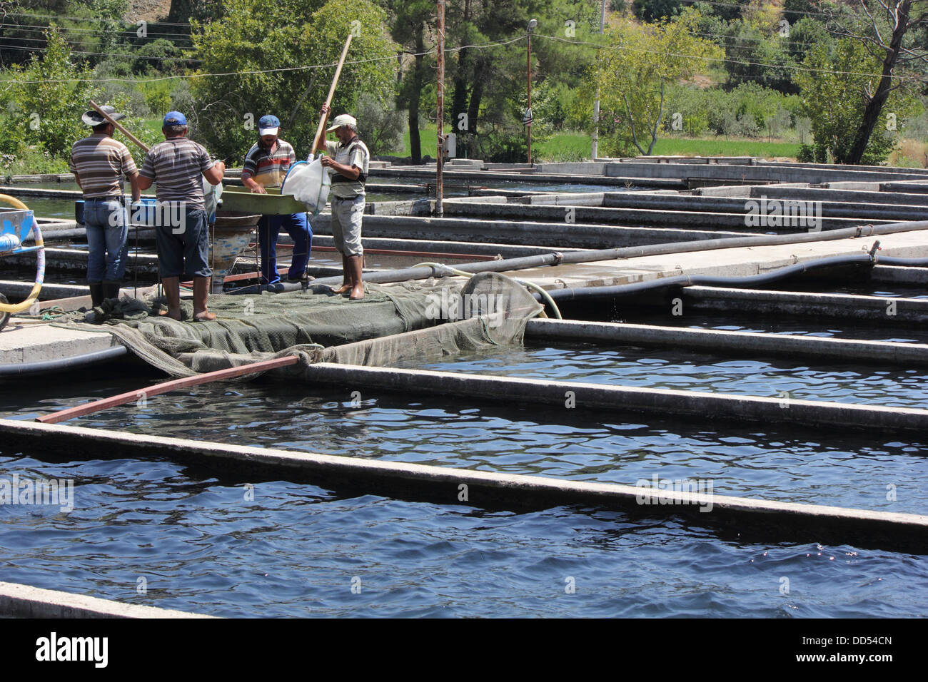 Fish farm hi-res stock photography and images - Alamy
