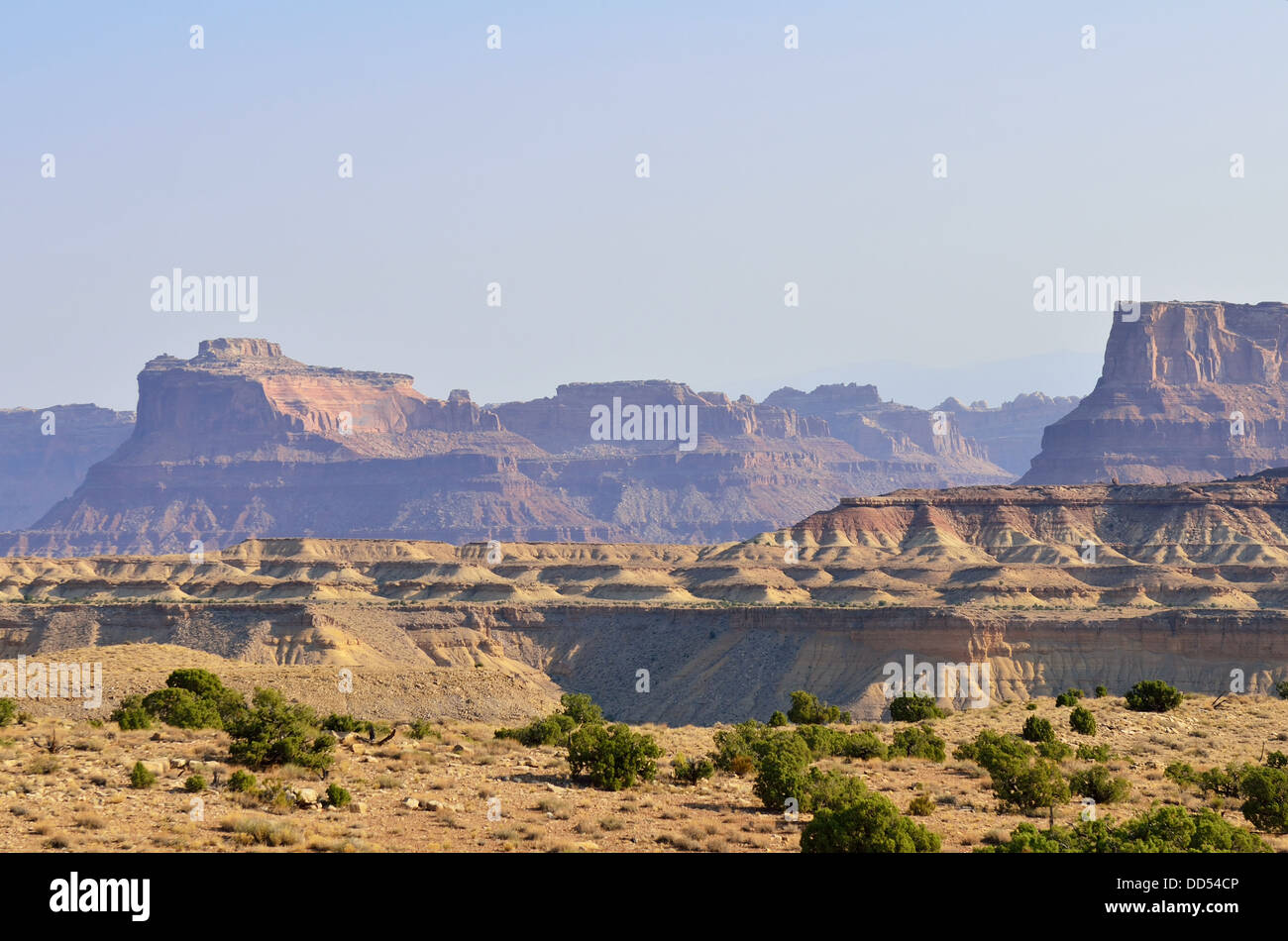 Spotted Wolf, Utah I-70 Stock Photo - Alamy