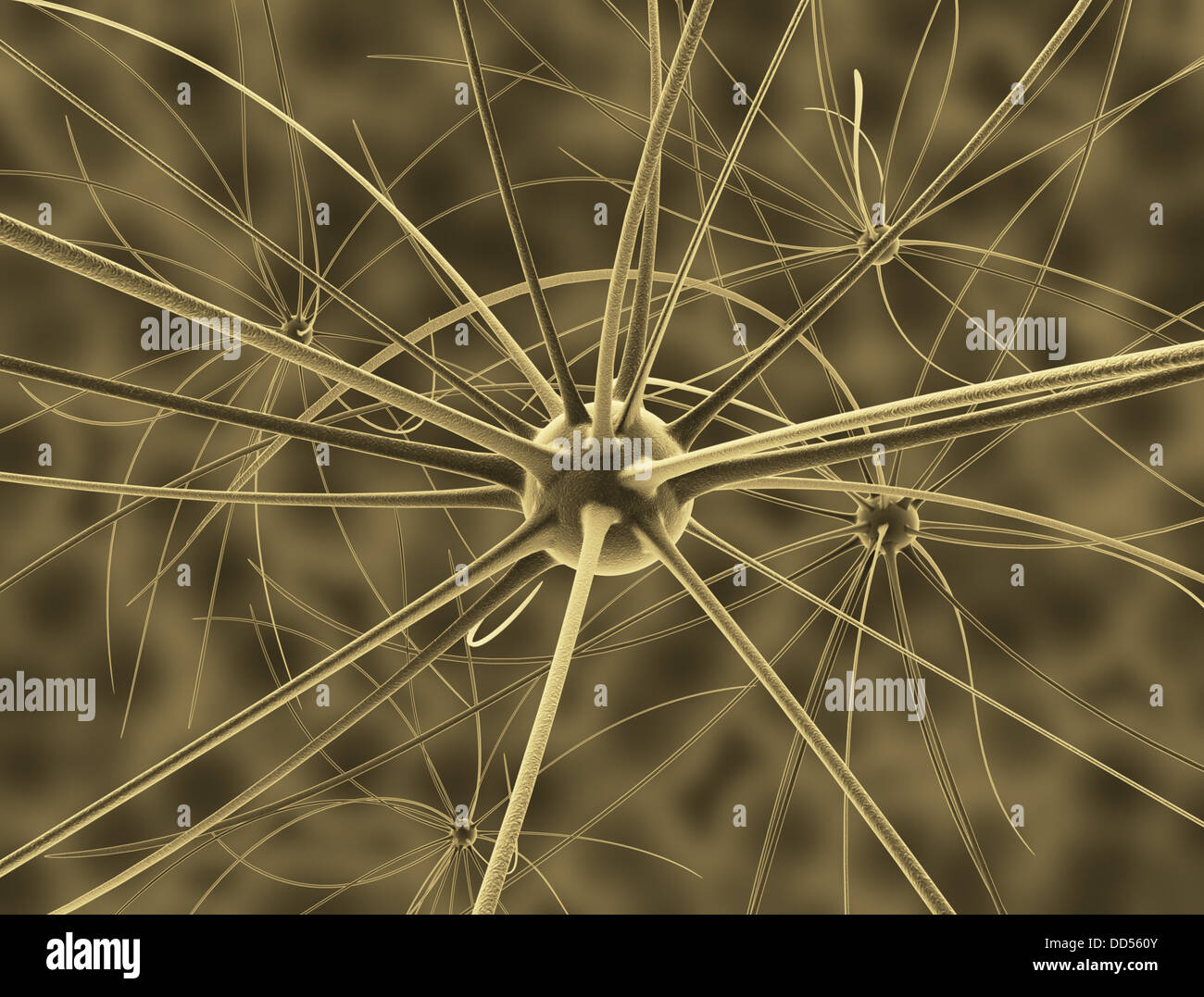 Brain cells 3d render Stock Photo - Alamy