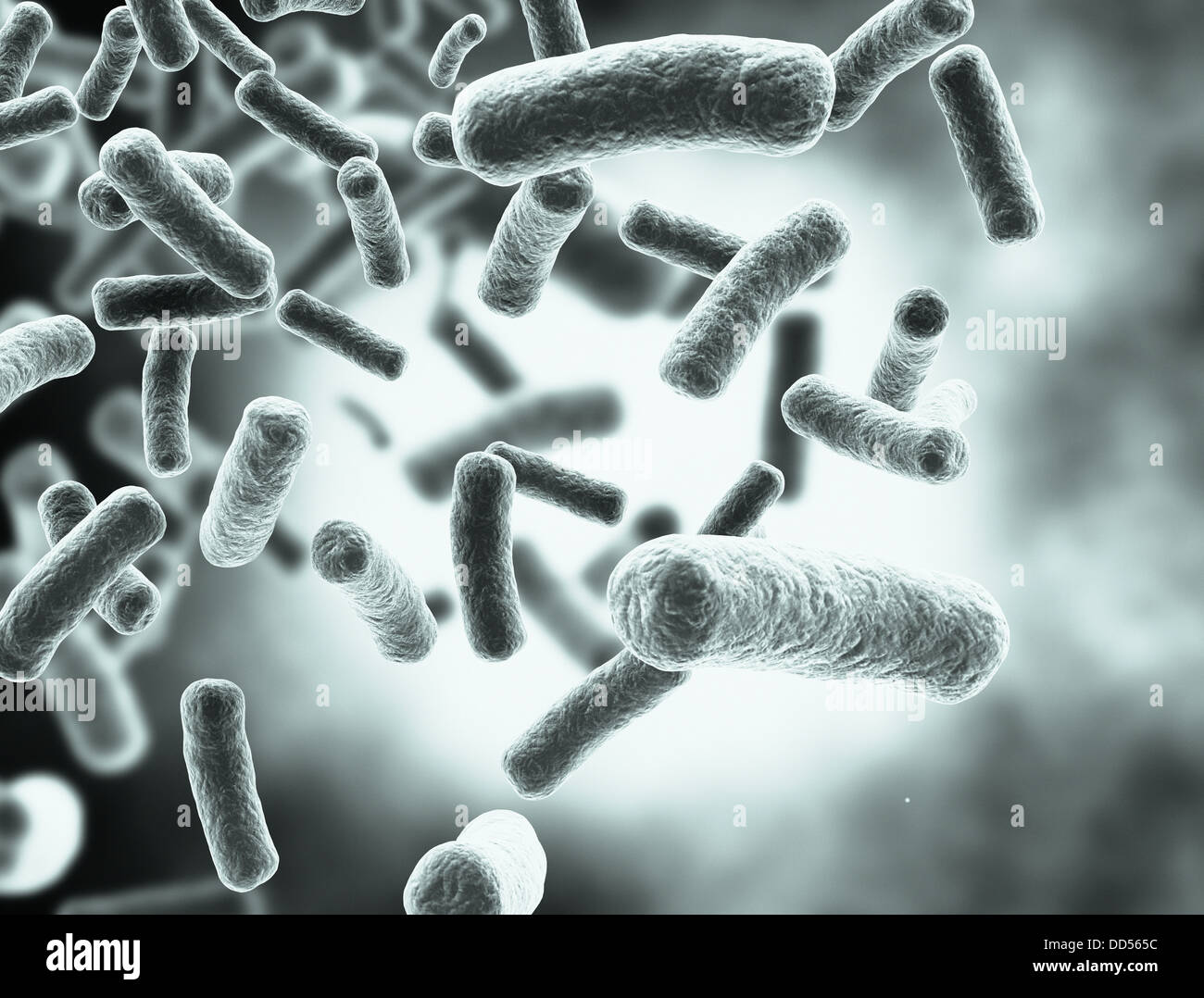 Bacteria cells large resolution medical background Stock Photo - Alamy