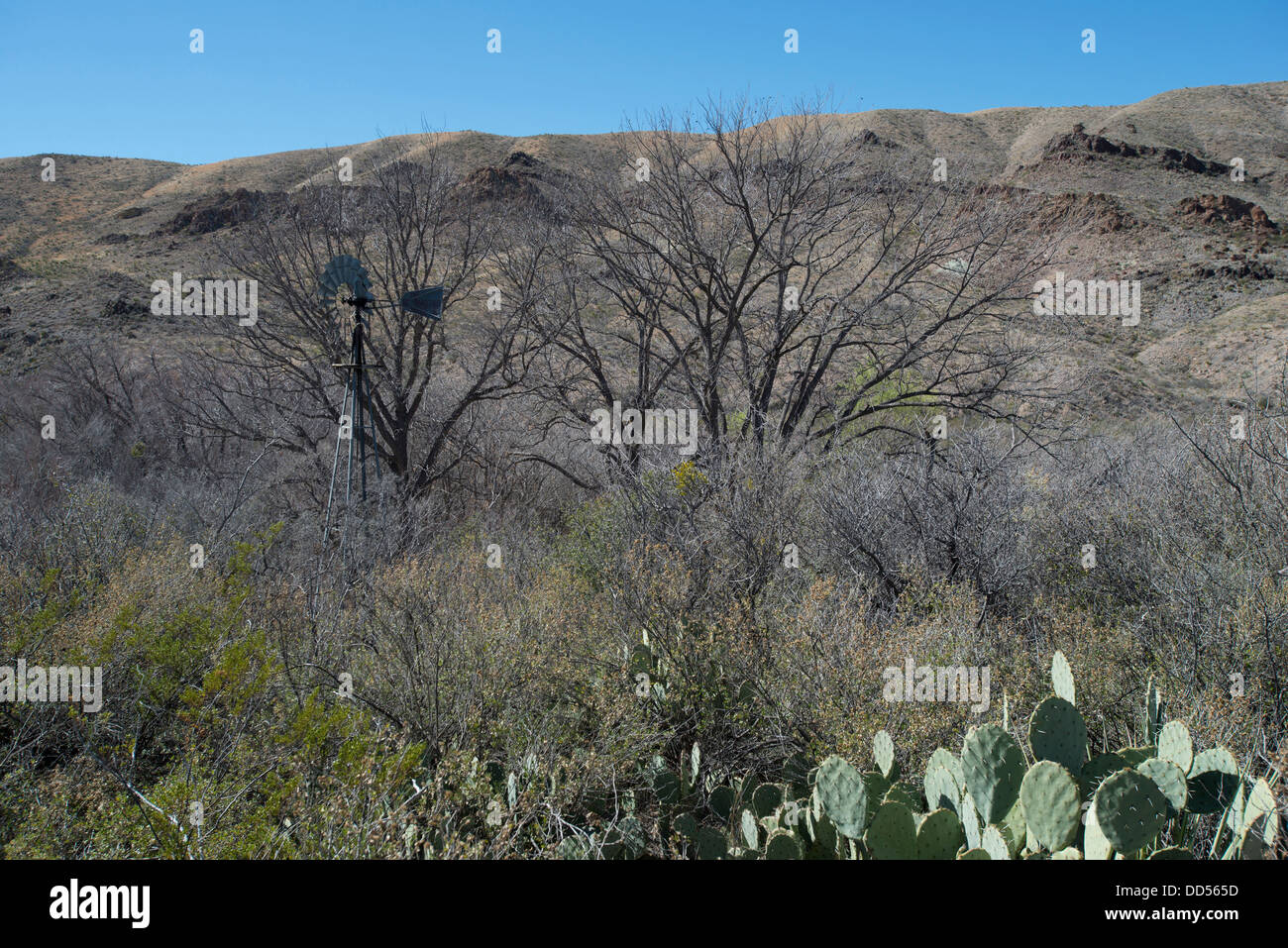 Sam Nail Ranch, Big Bend National Park, Texas, USA Stock Photo - Alamy