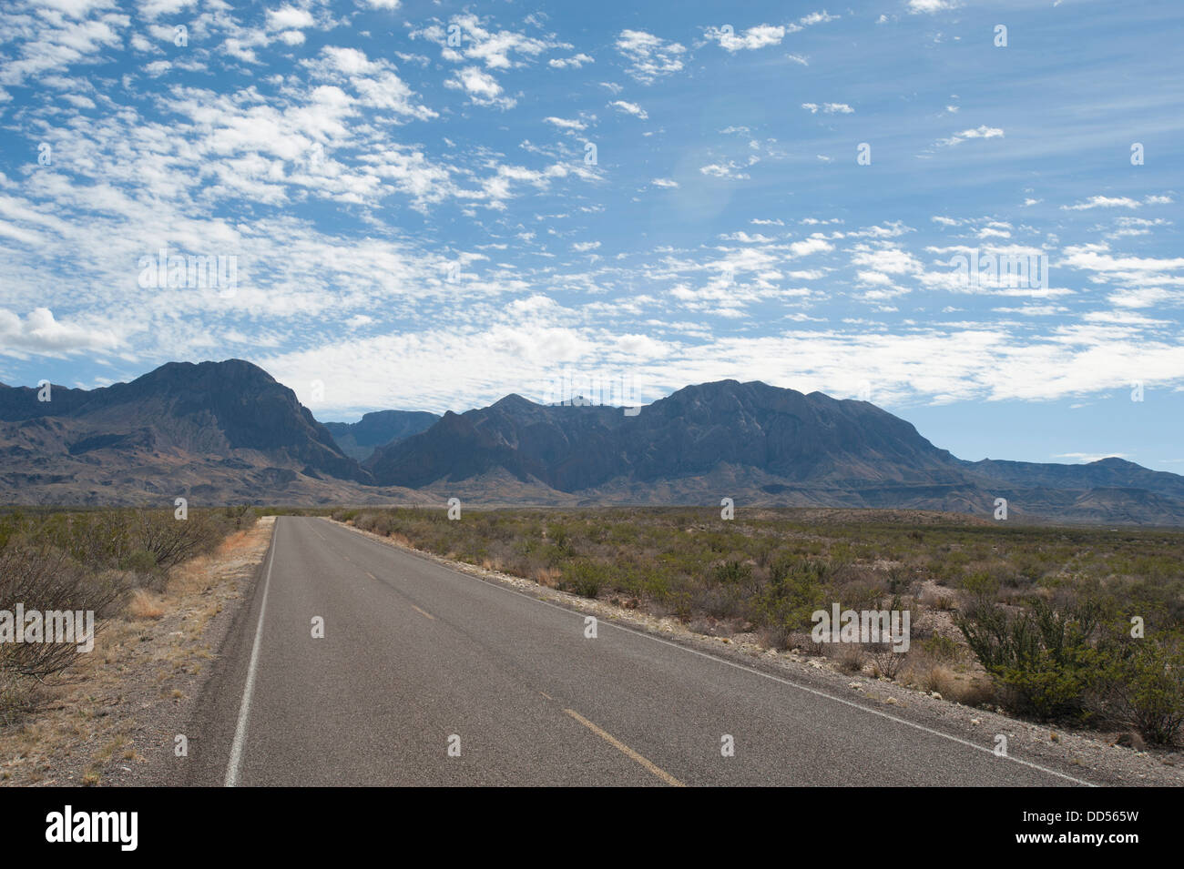 Desert Scenery, Big Bend National Park, Texas, USA Stock Photo - Alamy
