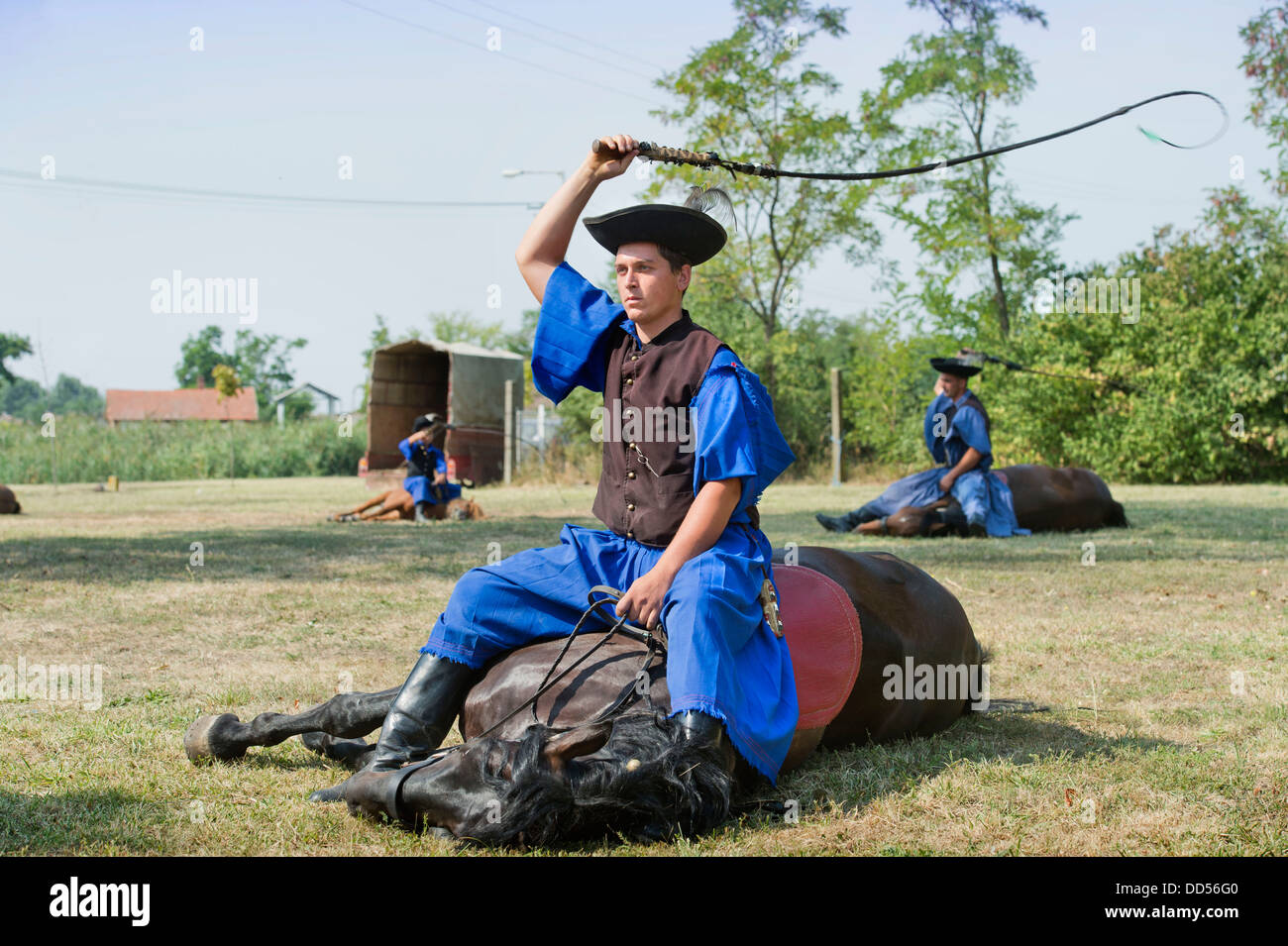 Traditional Hungarian 'Csikos' at a horse festival in the Hungarian ...