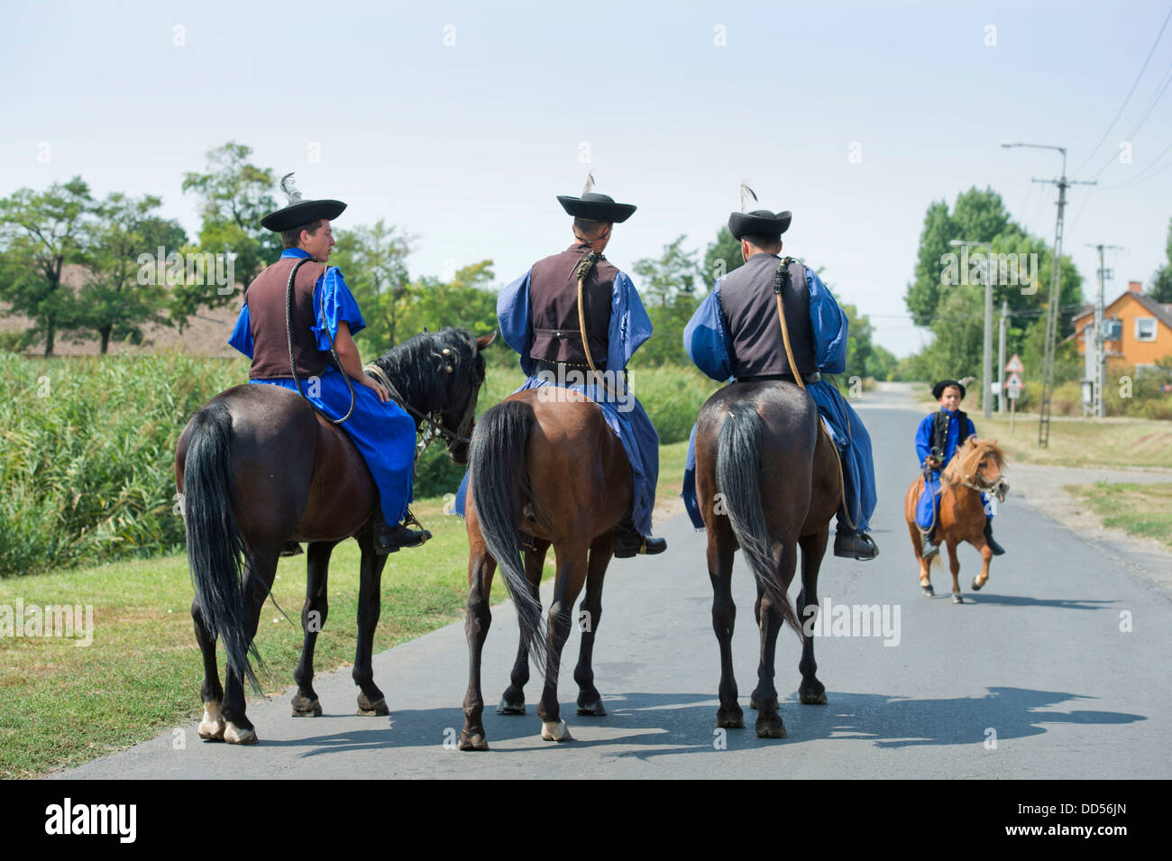 Traditional Hungarian 'Csikos' at a horse festival in the Hungarian ...