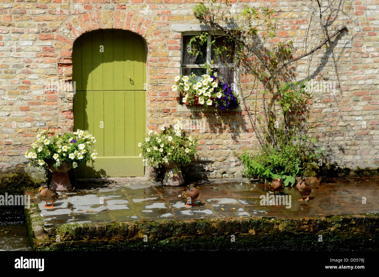 Typical canal side buildings hi-res stock photography and images - Alamy