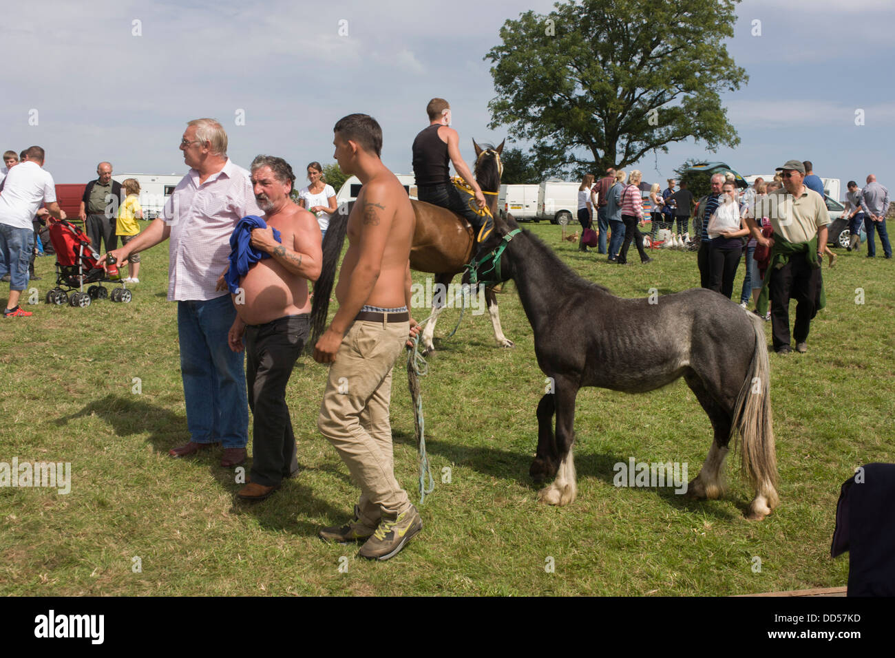 Priddy fair hi-res stock photography and images - Alamy
