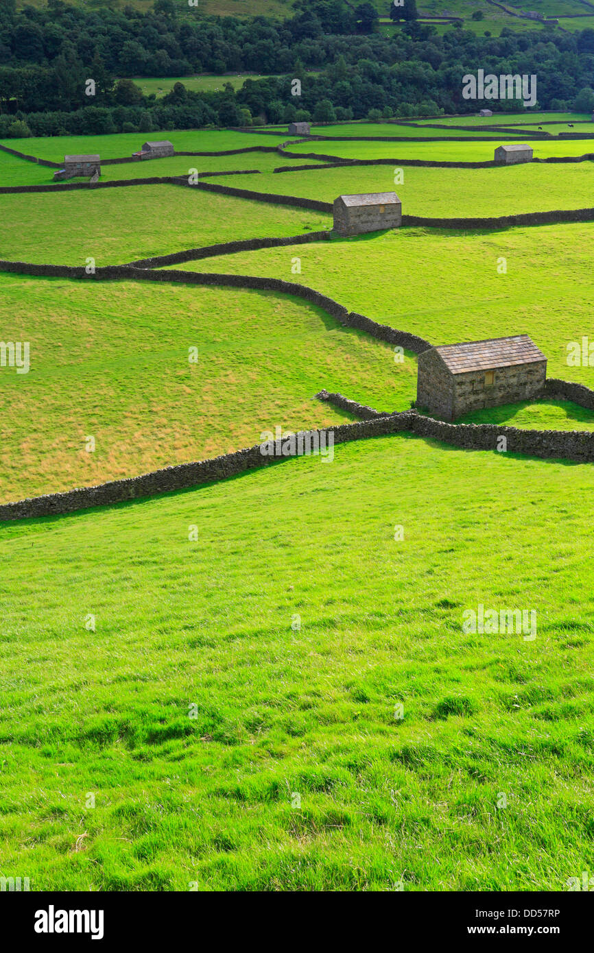 Field barns in Gunnerside, Swaledale, North Yorkshire, Yorkshire Dales ...