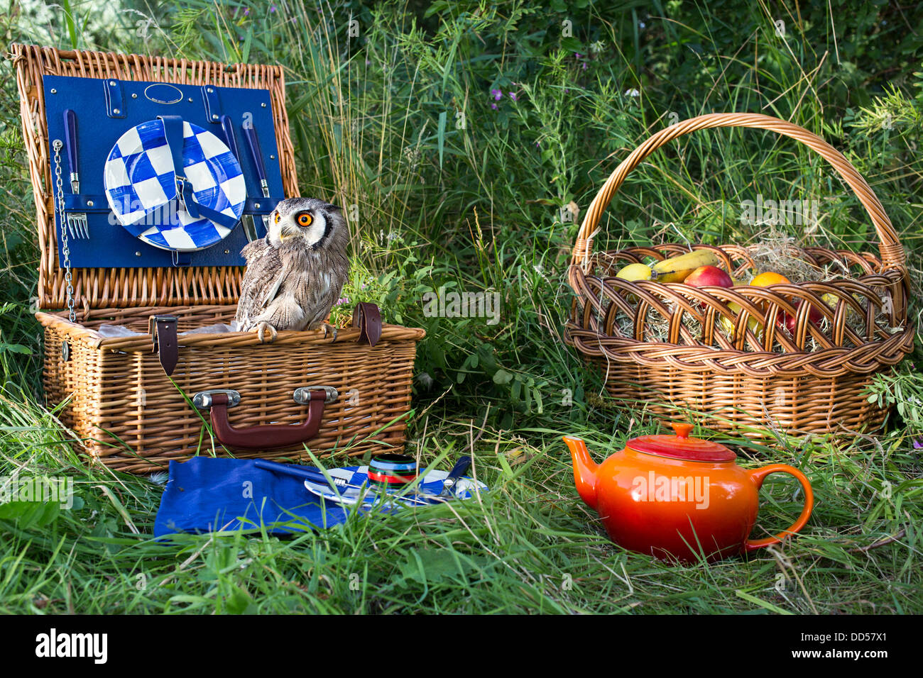 Picnic tea basket hi-res stock photography and images - Alamy