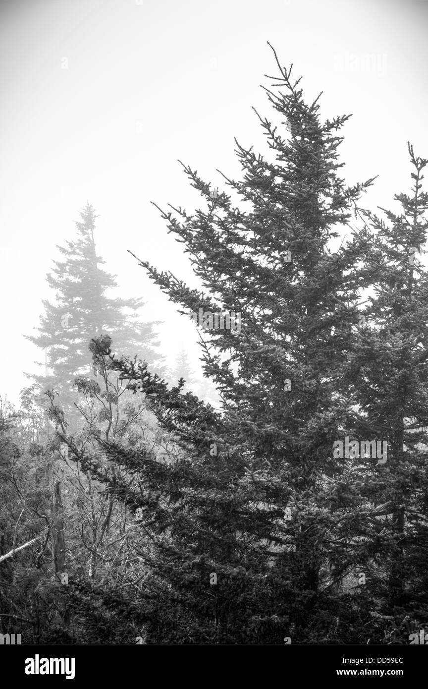 Mist in the mountains Black and White Stock Photos & Images - Alamy