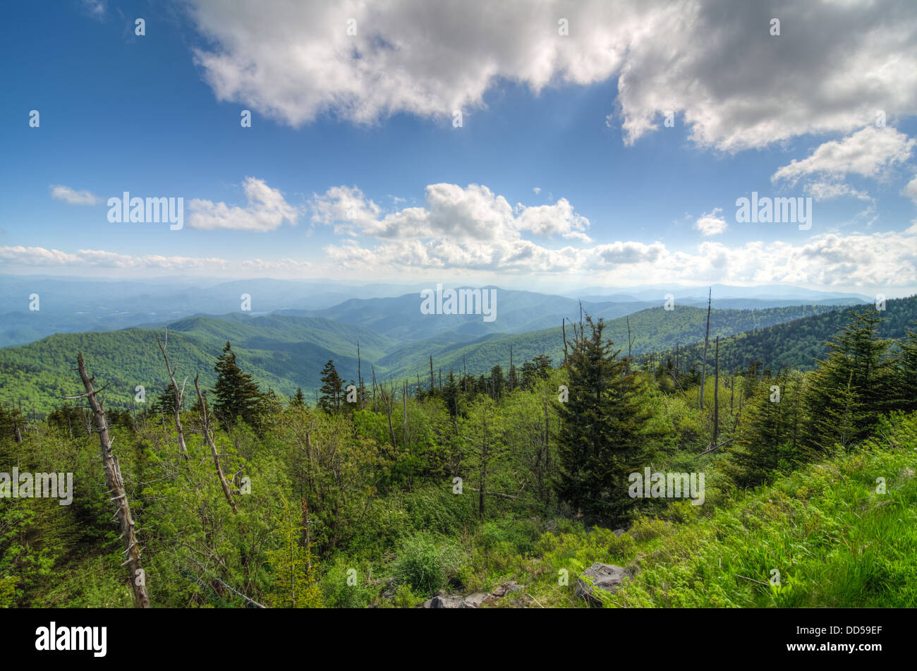 Clingmans Dome View