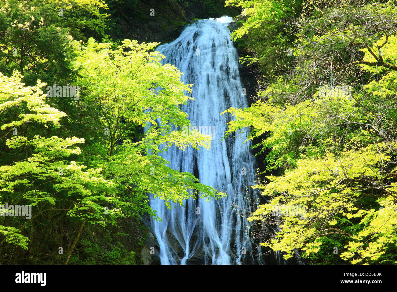 Marugami waterfall, Saitama Prefecture Stock Photo - Alamy