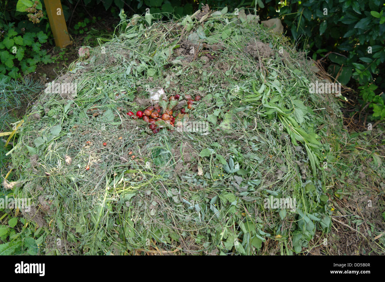 Compost cycle hi-res stock photography and images - Alamy