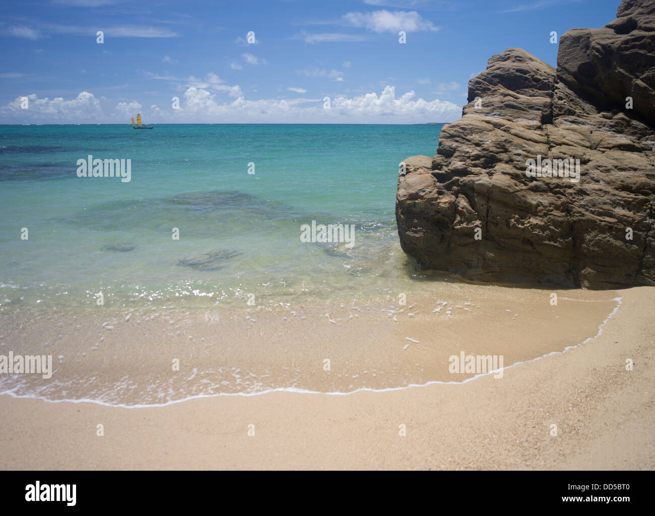 Sabani Boat races, a traditional sail and rowing wooden boat glides ...