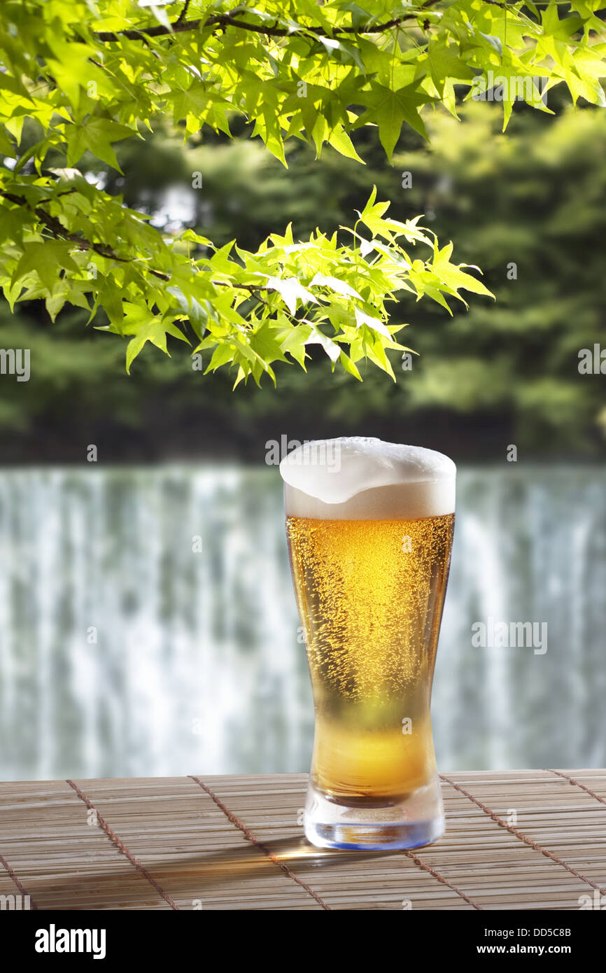Glass of beer and green leaves Stock Photo - Alamy