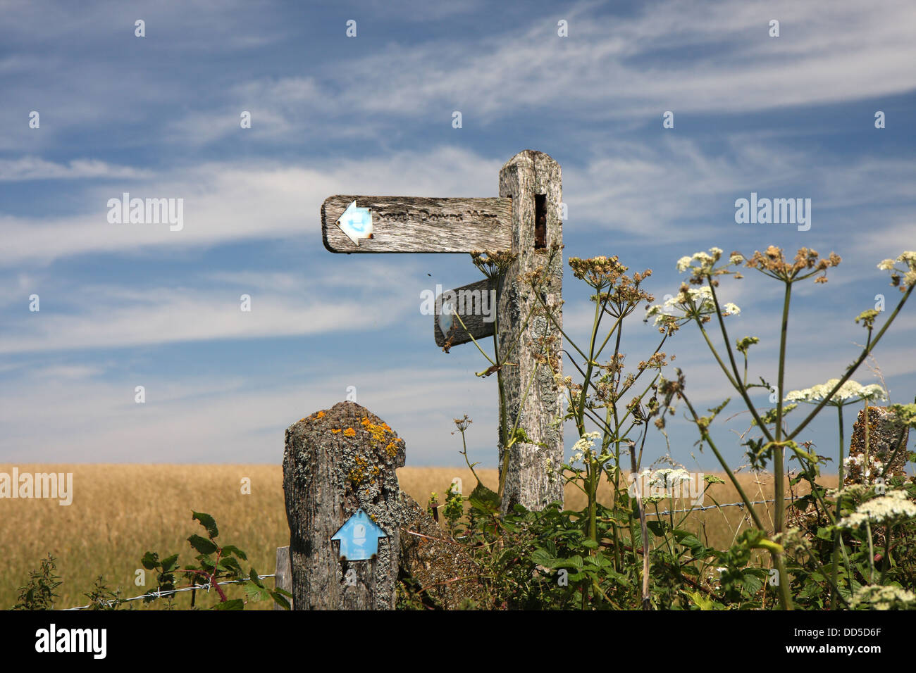National Trust sign post marking the South Downs Way, Sussex, UK Stock ...