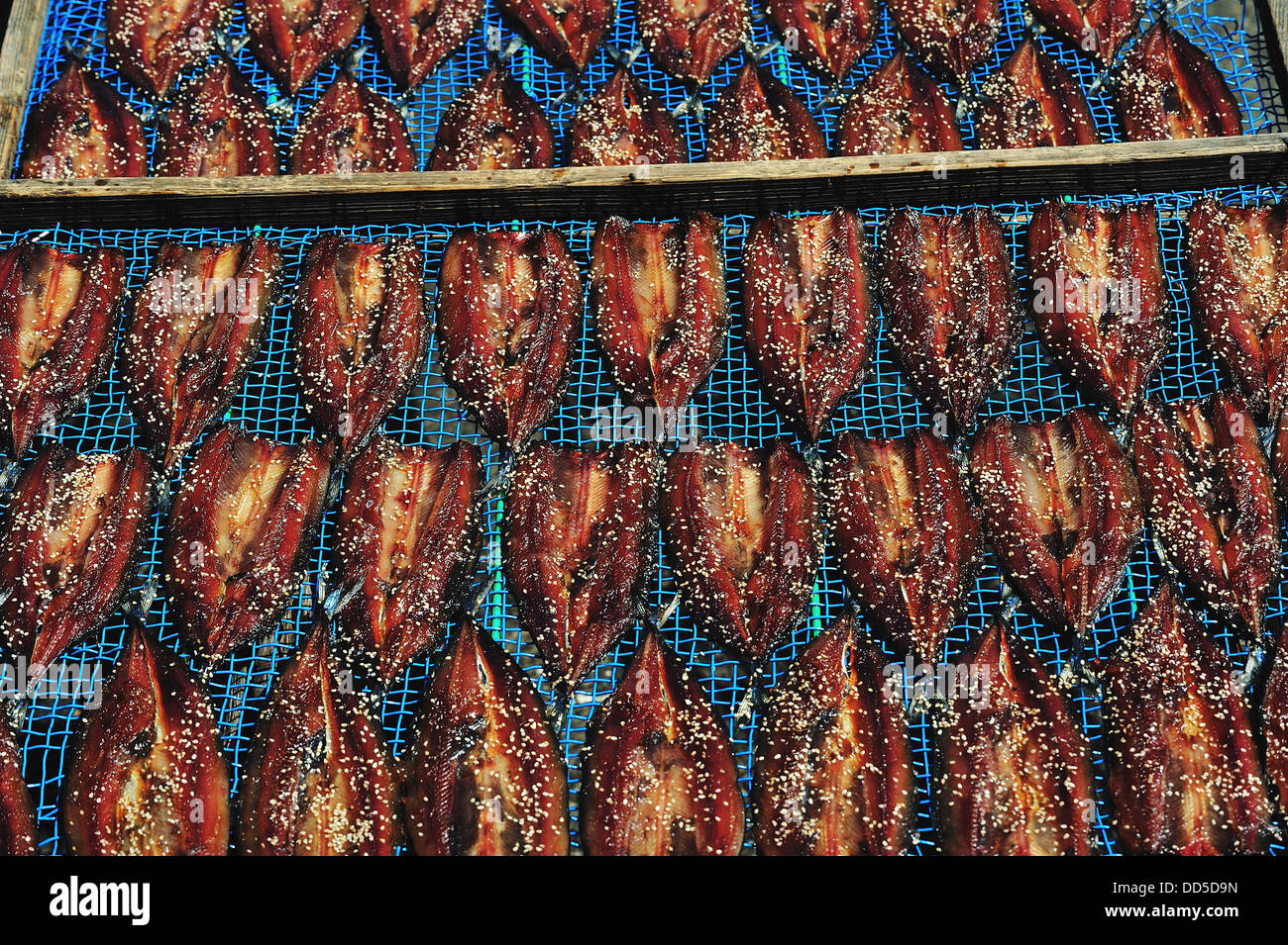 Fish drying under the sun Stock Photo - Alamy