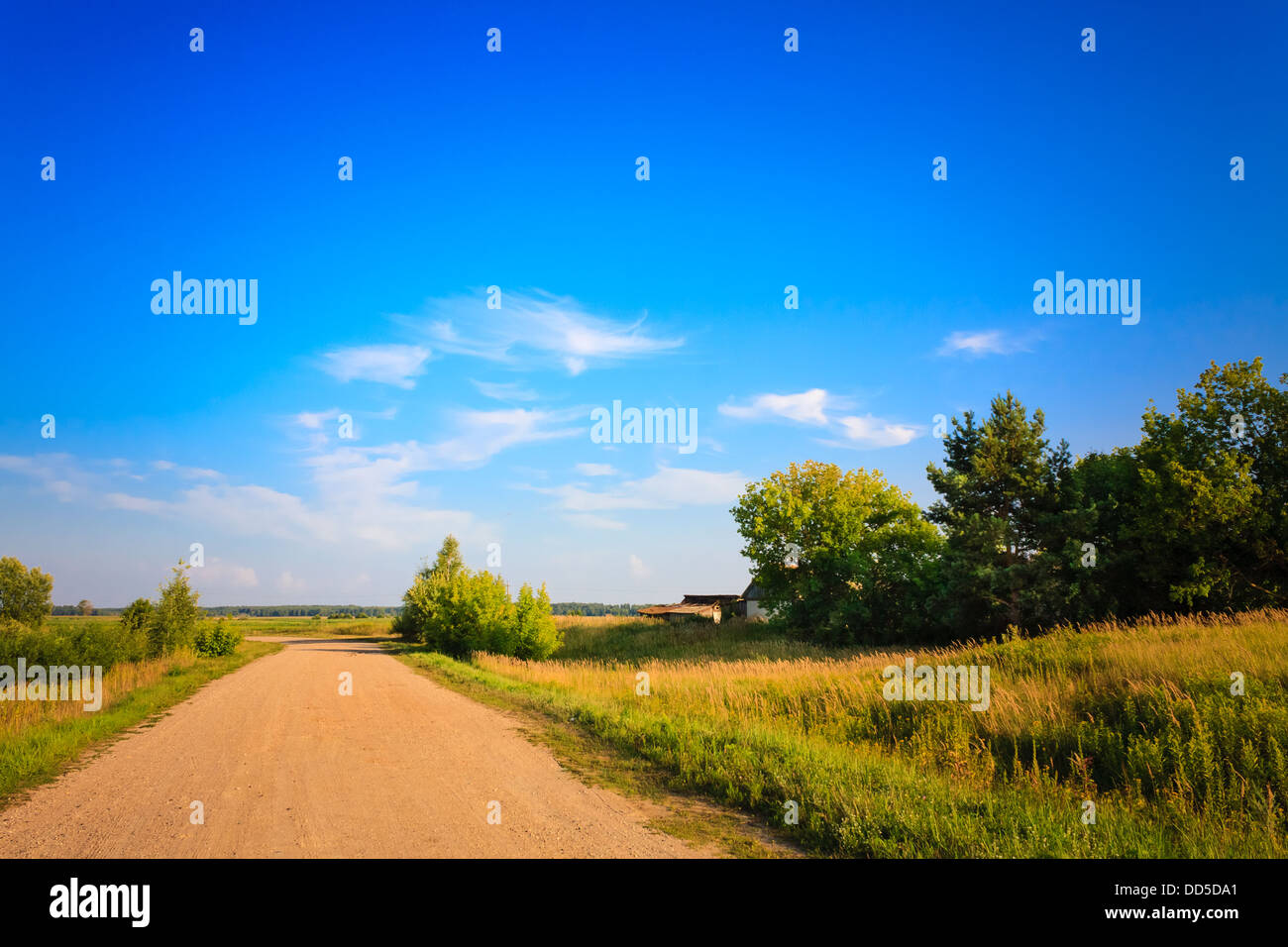 Dirty Rural Road In Countryside Stock Photo - Alamy