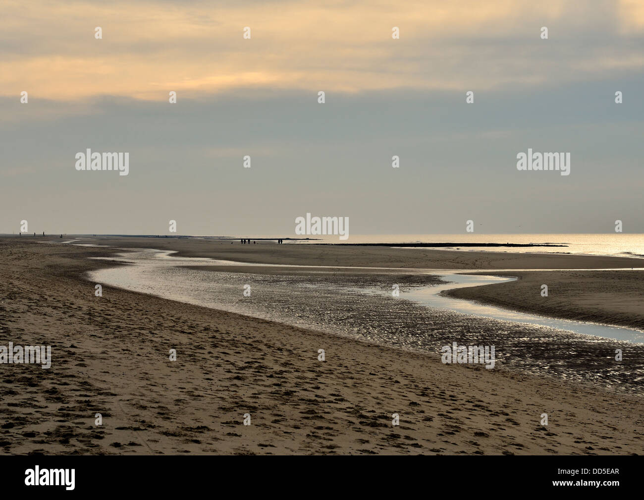 Dutch sea coast hi-res stock photography and images - Alamy