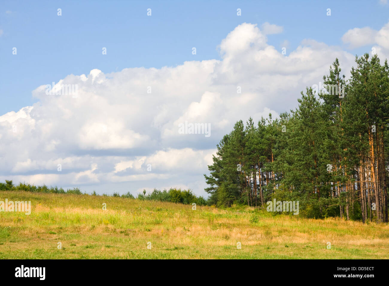 Beautiful summer landscape Stock Photo - Alamy