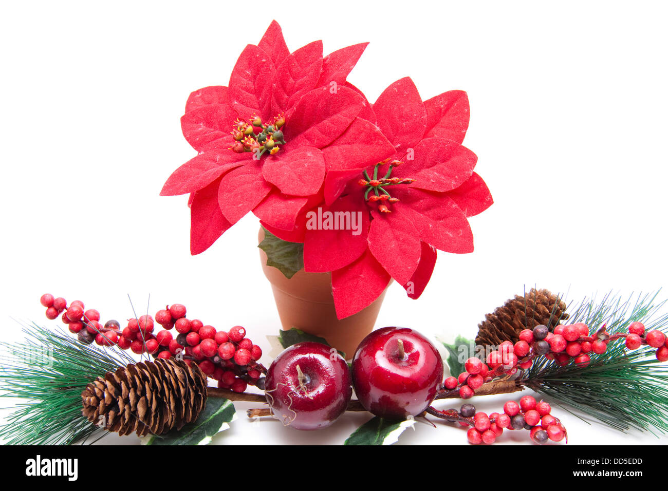 Christmas star flower with flower arrangement Stock Photo - Alamy