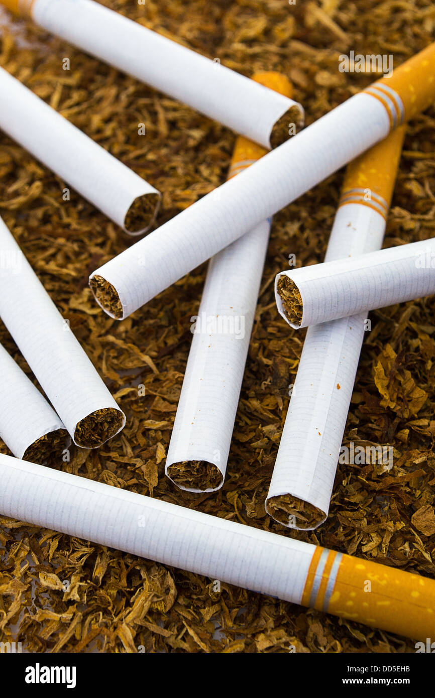 closeup of cigarettes detail on tobacco background Stock Photo - Alamy