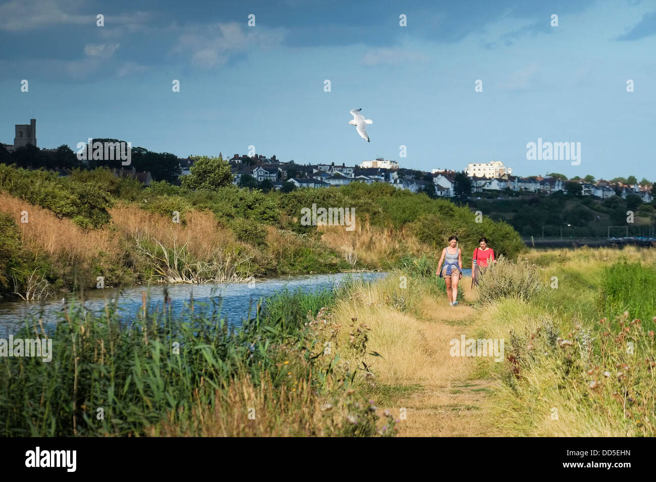 Two tree island nature reserve hi-res stock photography and images - Alamy