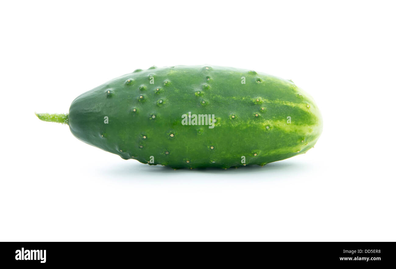 green organic cucumber isolated on white background Stock Photo - Alamy