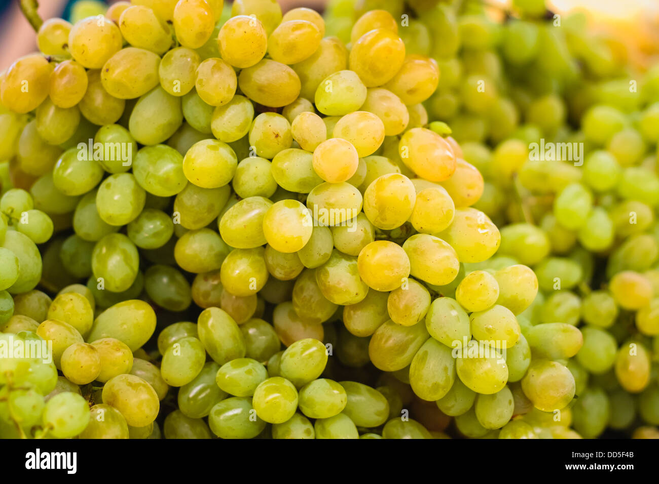 Close up of a large cluster of green grapes Stock Photo - Alamy