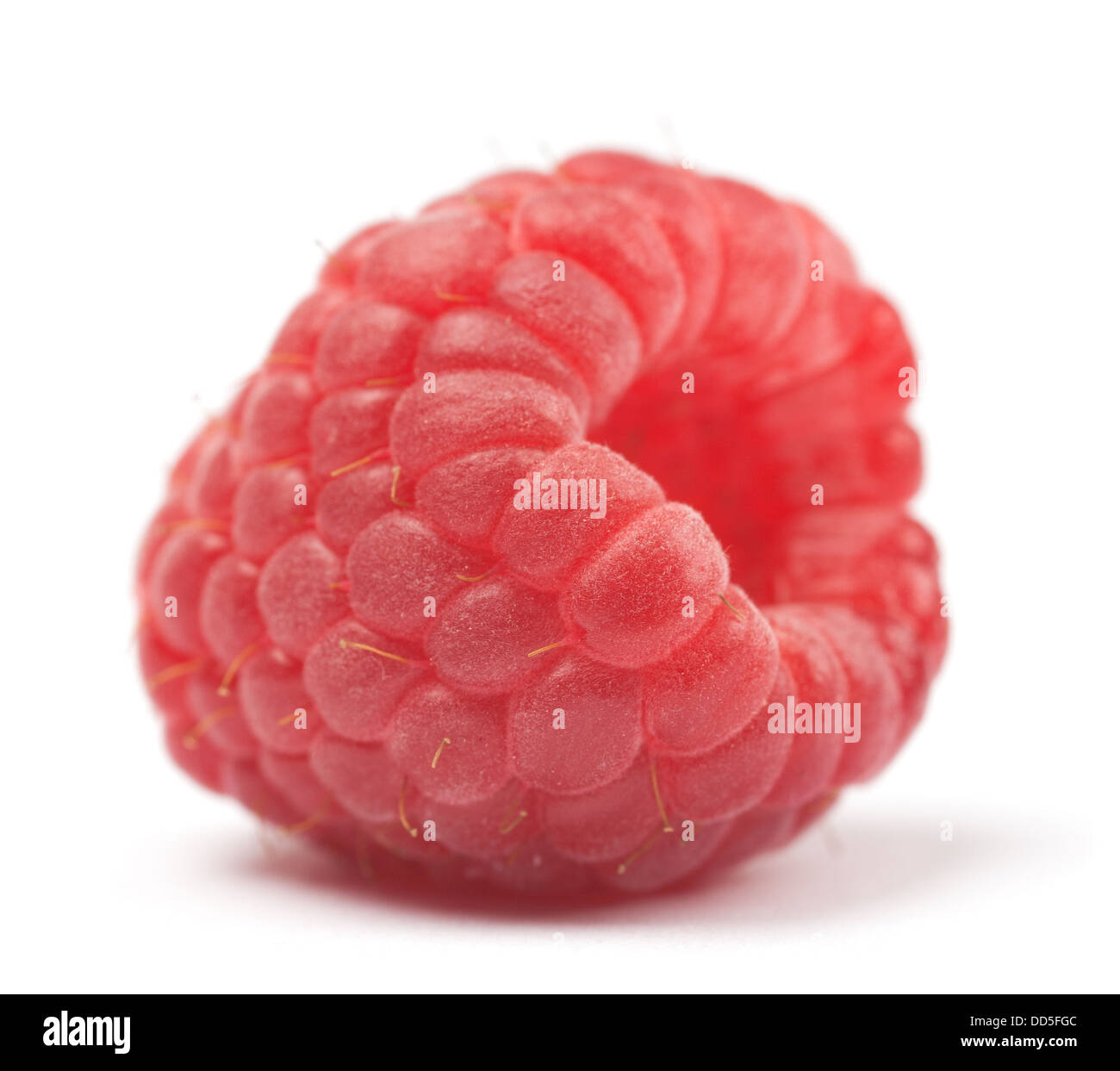 Red berries plant detail Cut Out Stock Images & Pictures - Alamy