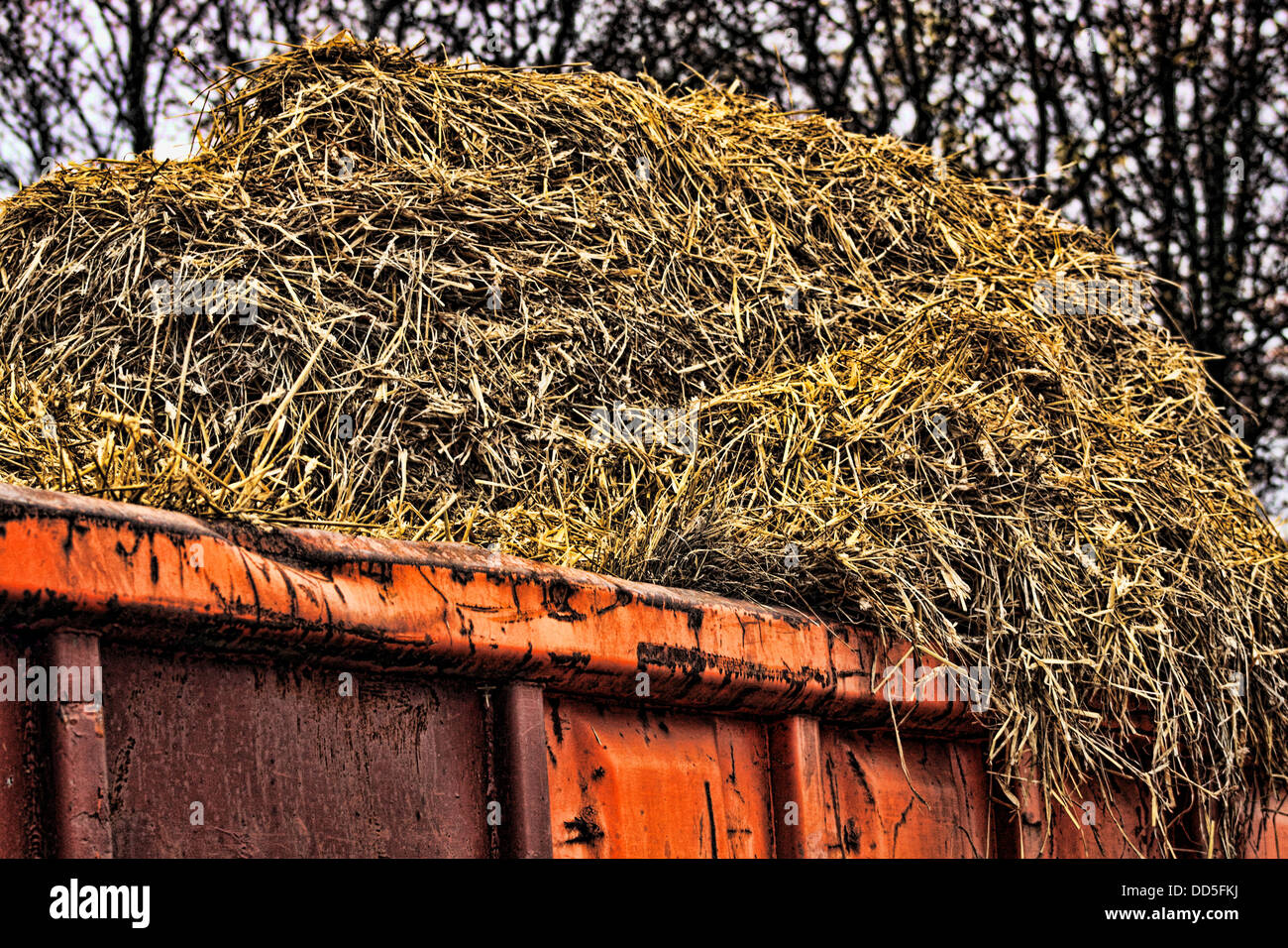 Horse Manure Stock Photos & Horse Manure Stock Images - Alamy