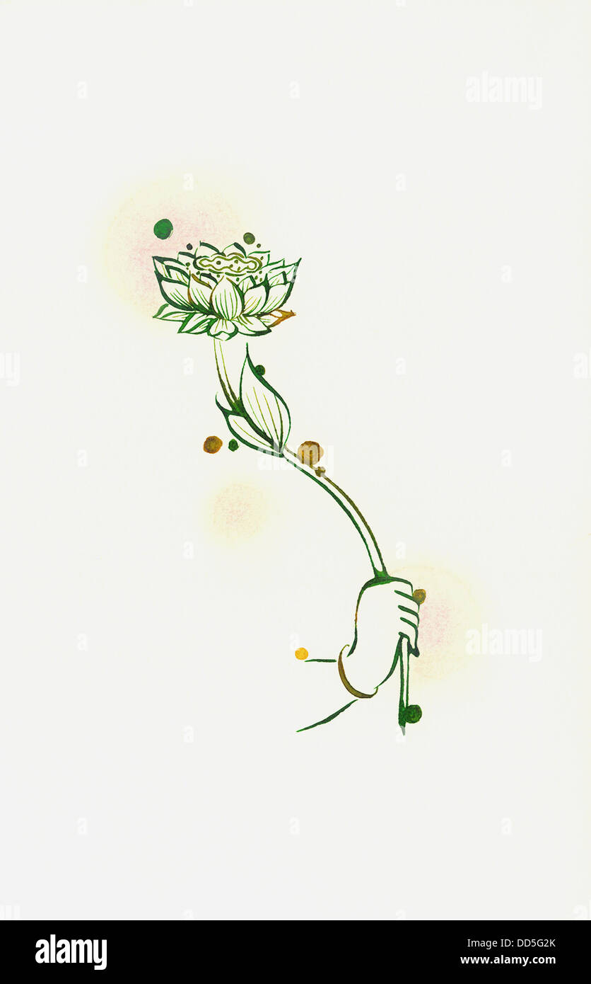 Goddess of mercy plant hi-res stock photography and images - Alamy