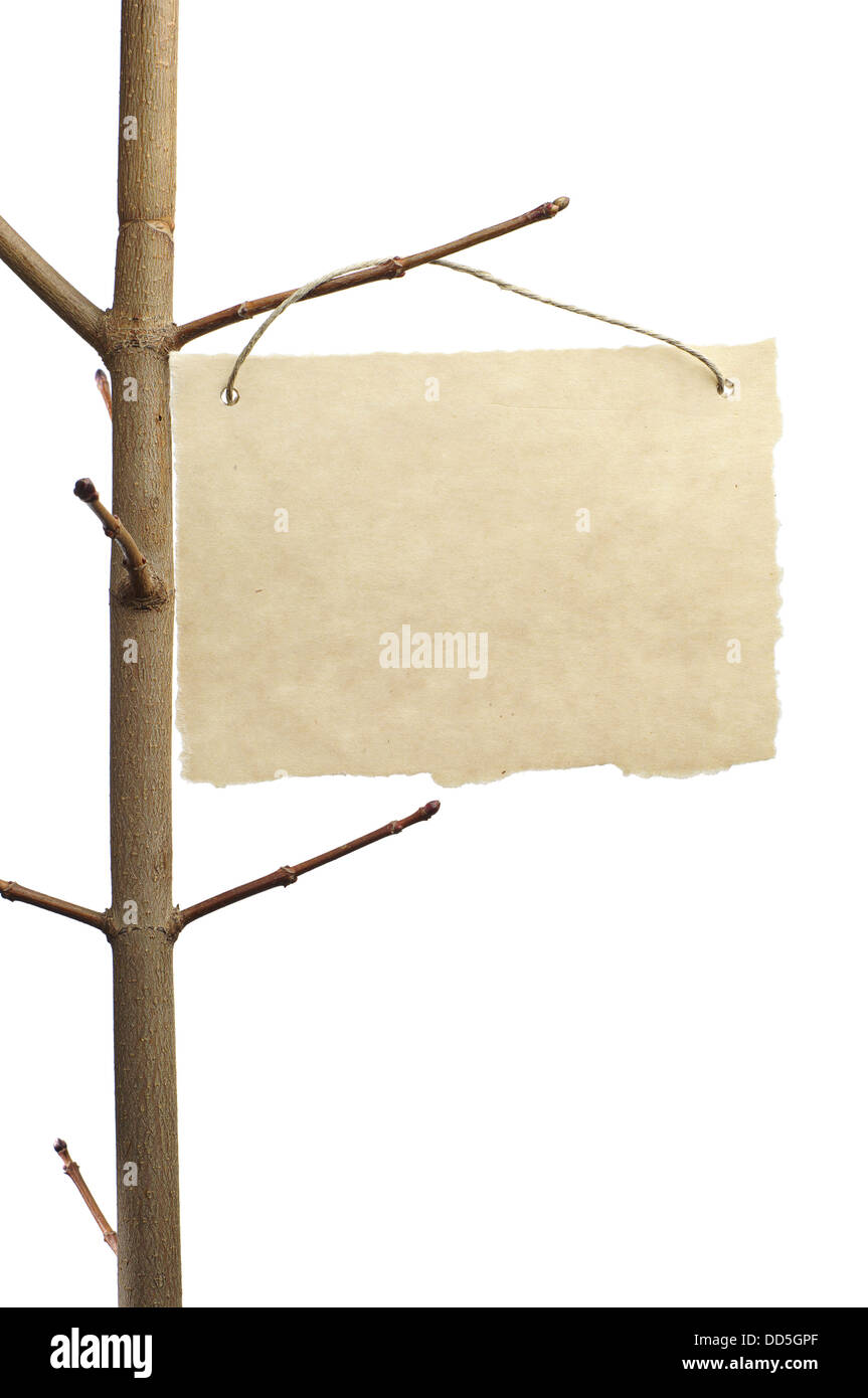 Blank tree hi-res stock photography and images - Alamy