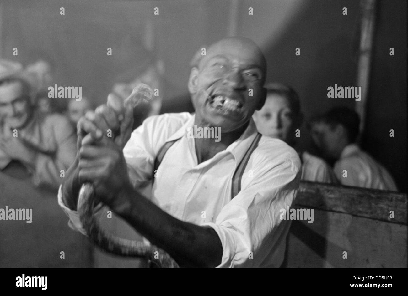 Geek biting off the head of a snake at a sideshow, Louisiana State Fair ...