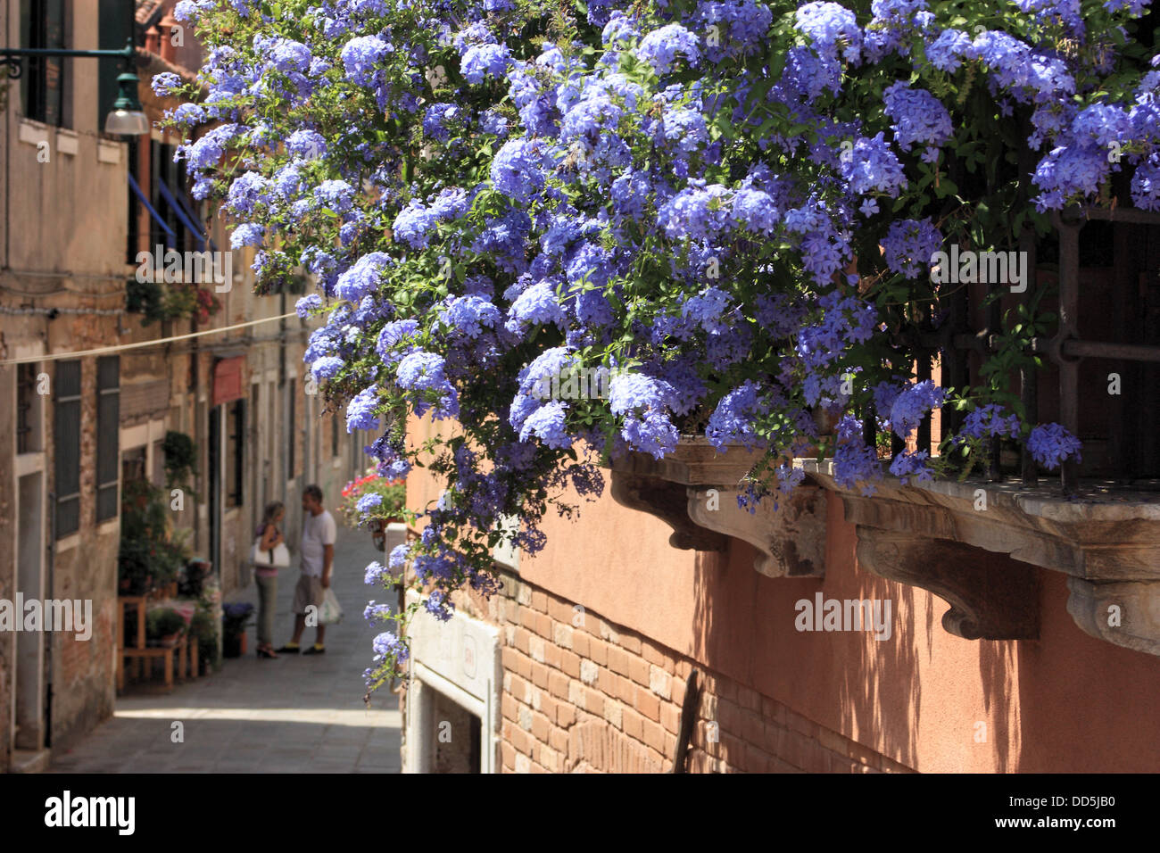 Purple balcony hi-res stock photography and images - Alamy