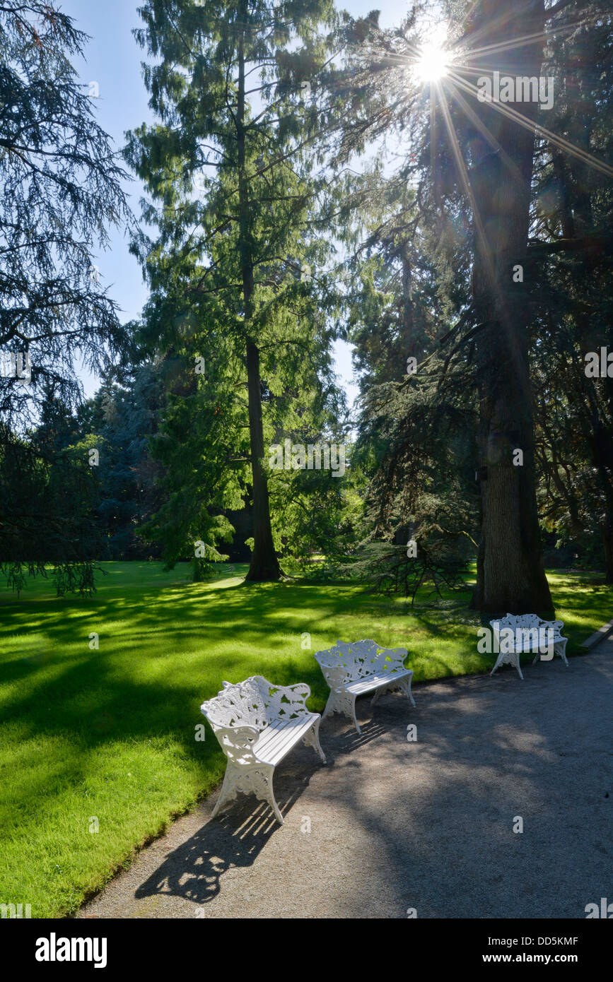 Germany, Constance, Park of arboretum and benches Stock Photo - Alamy