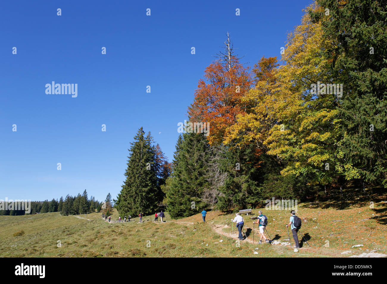 Austria, Salzburg, View of people hiking Salzkammergut region Stock ...