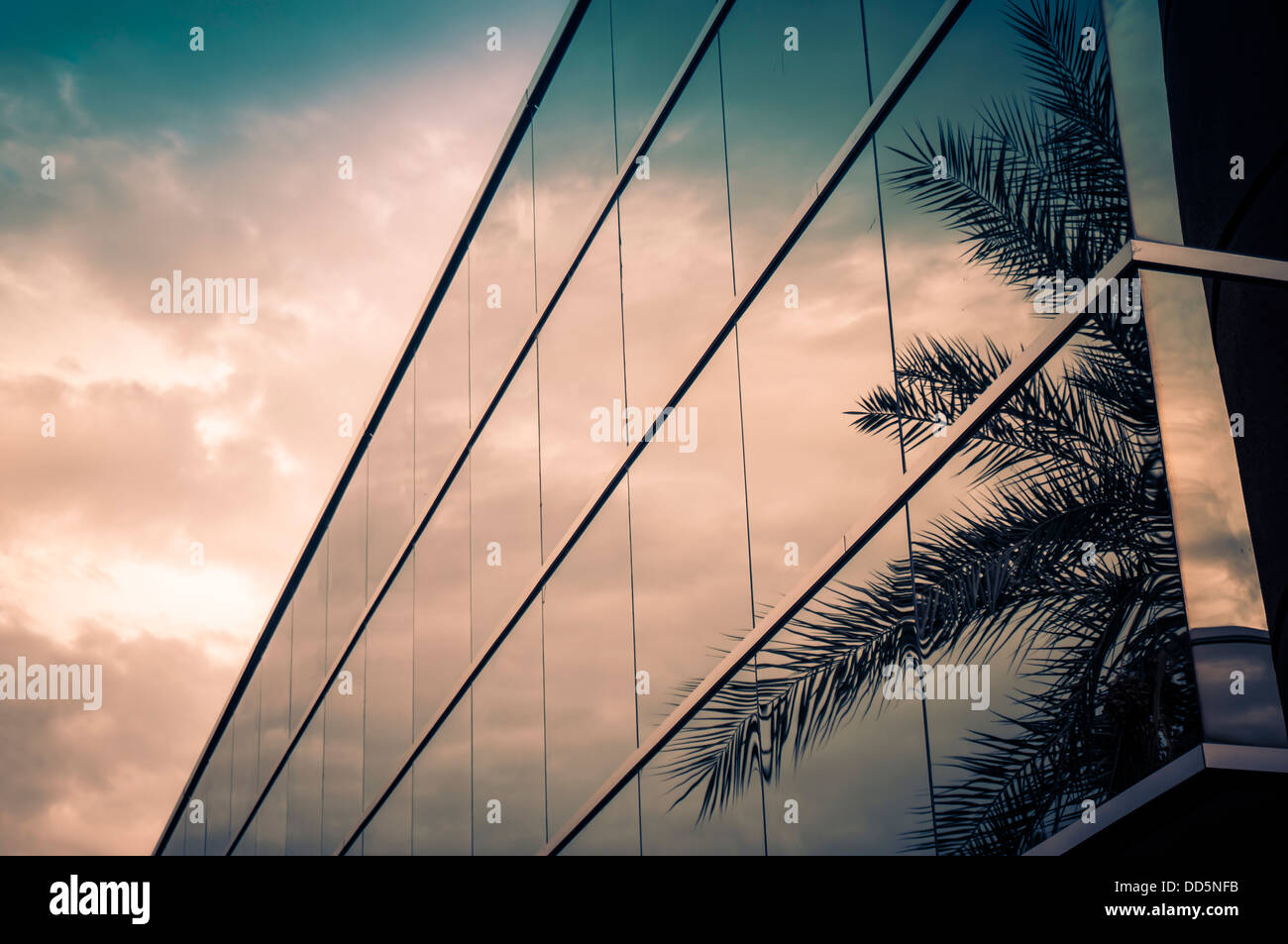 Modern glass office building in warm sunny climate - success Stock ...