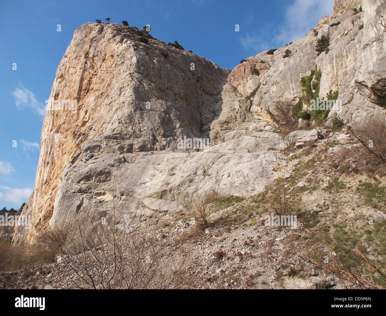 trees, sky and rock Stock Photo - Alamy